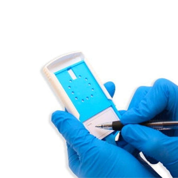 Arrowhead Forensics EasiCollect + (Plus) Buccal Sample Collection Devi ...